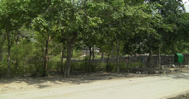 Clean-Up in Rishikesh | Ganga Action Parivar | Clean Ganga. Green Ganga.