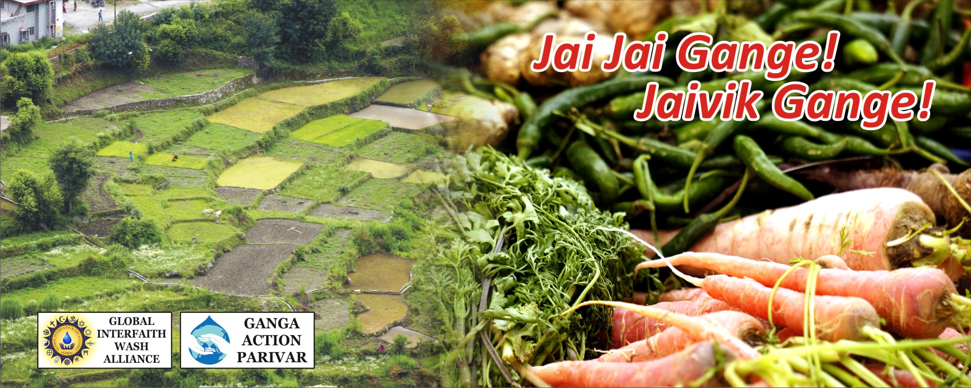 GAP Publications | Ganga Action Parivar | Clean Ganga. Green Ganga.